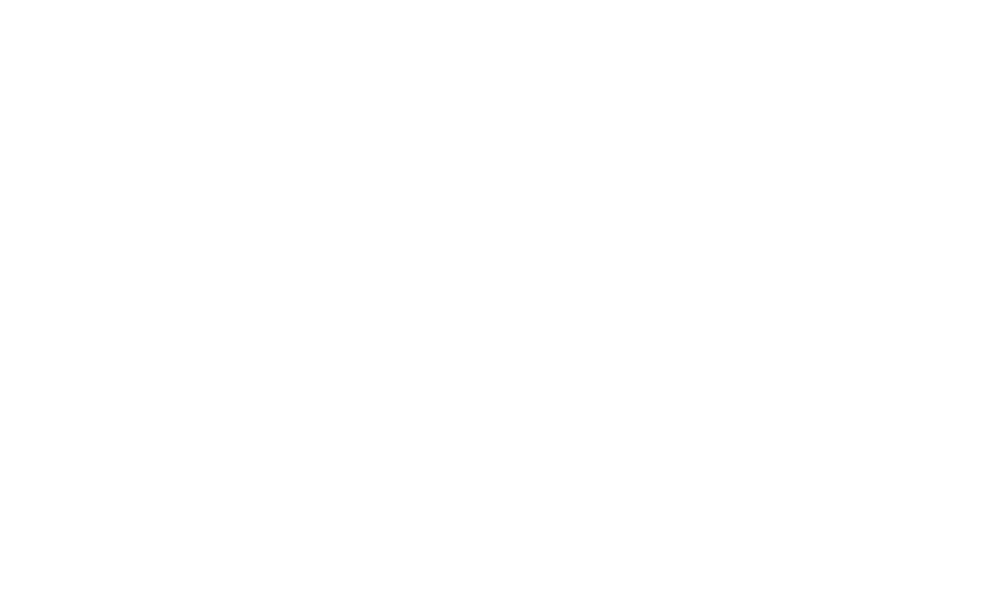 비비스타 모델(BBStar Model)